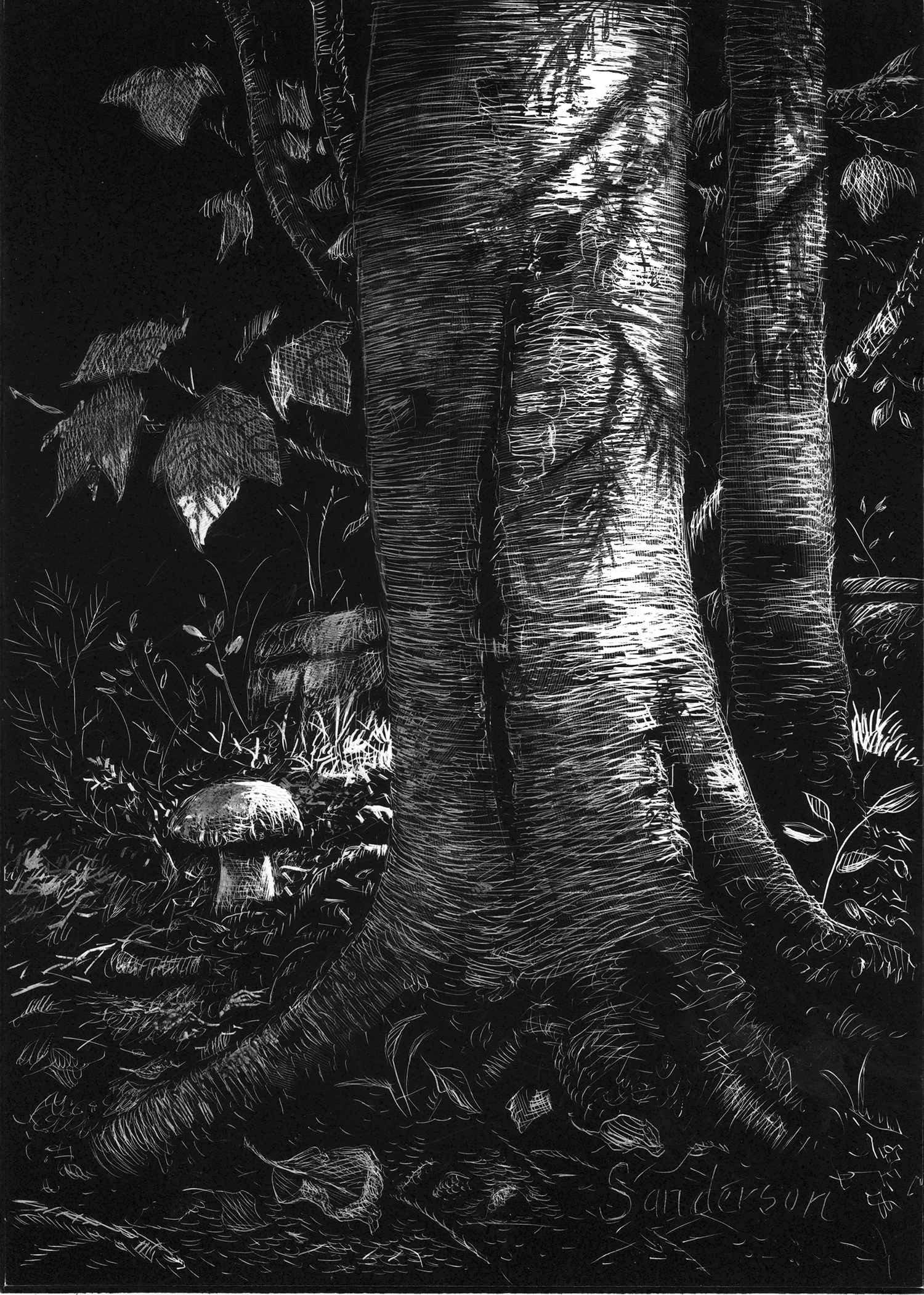 Scratchboard Plein Air Drawing – Golden Wood Studio